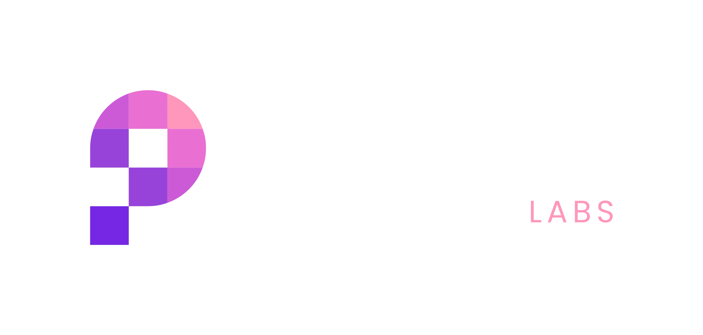 PayTech Labs